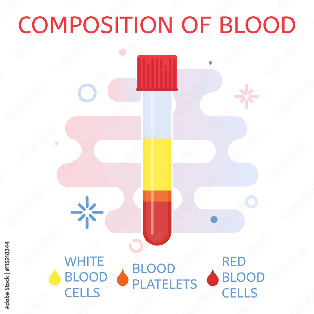 Composition of blood. Elements of blood in a test tube- white cells ...