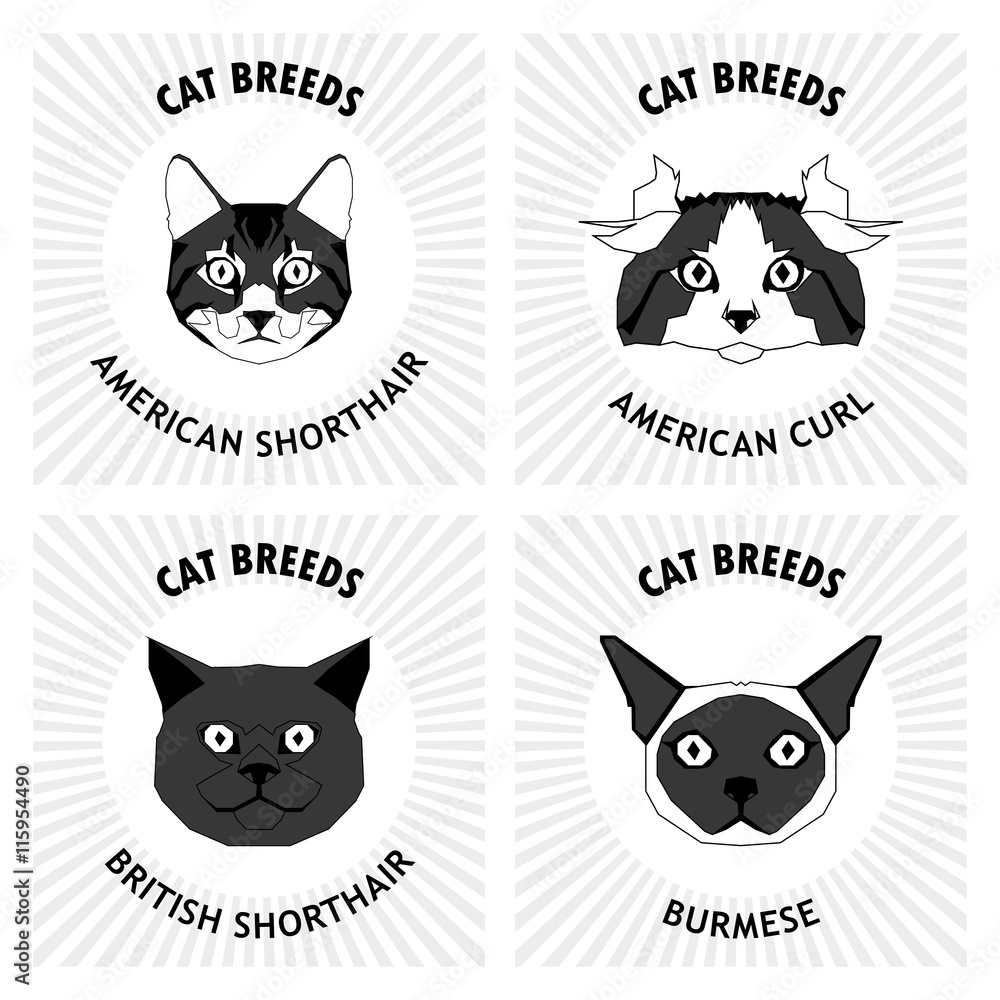 Set of cat breeds, vector illustration Stock Vector | Adobe Stock