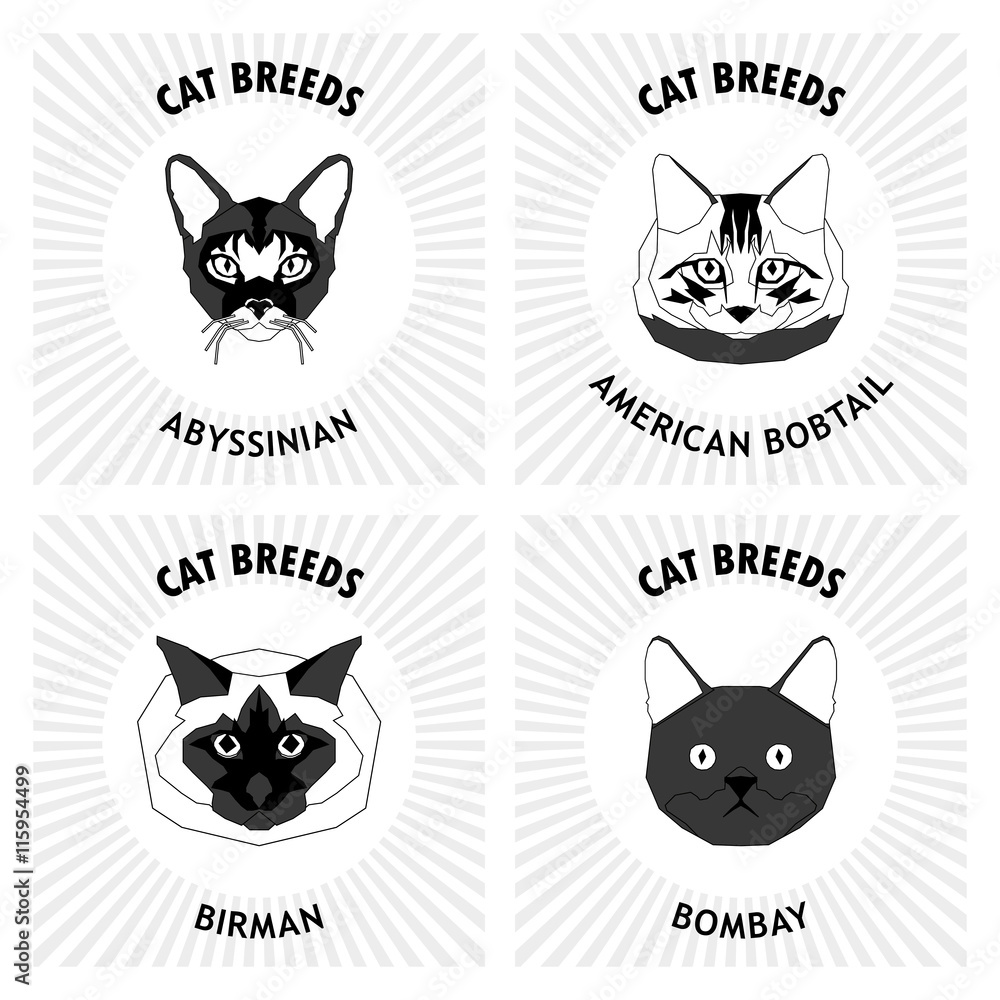 Set of cat breeds, vector illustration Stock Vector | Adobe Stock
