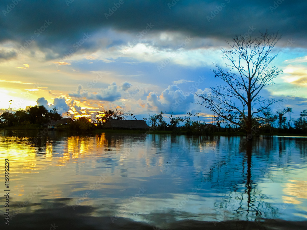 Amazon river Stock Photo | Adobe Stock