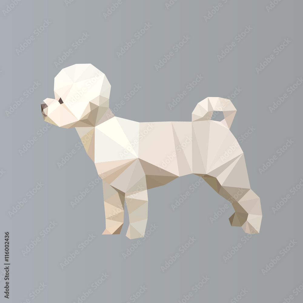 polygon poodle dog. poly low geometric triangle animal vector Stock ...