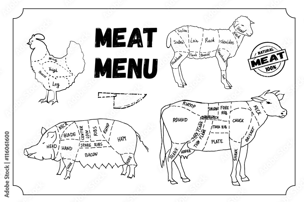 Meat menu. Set of symbols, beef, pork, chicken, lamb. Vector ...