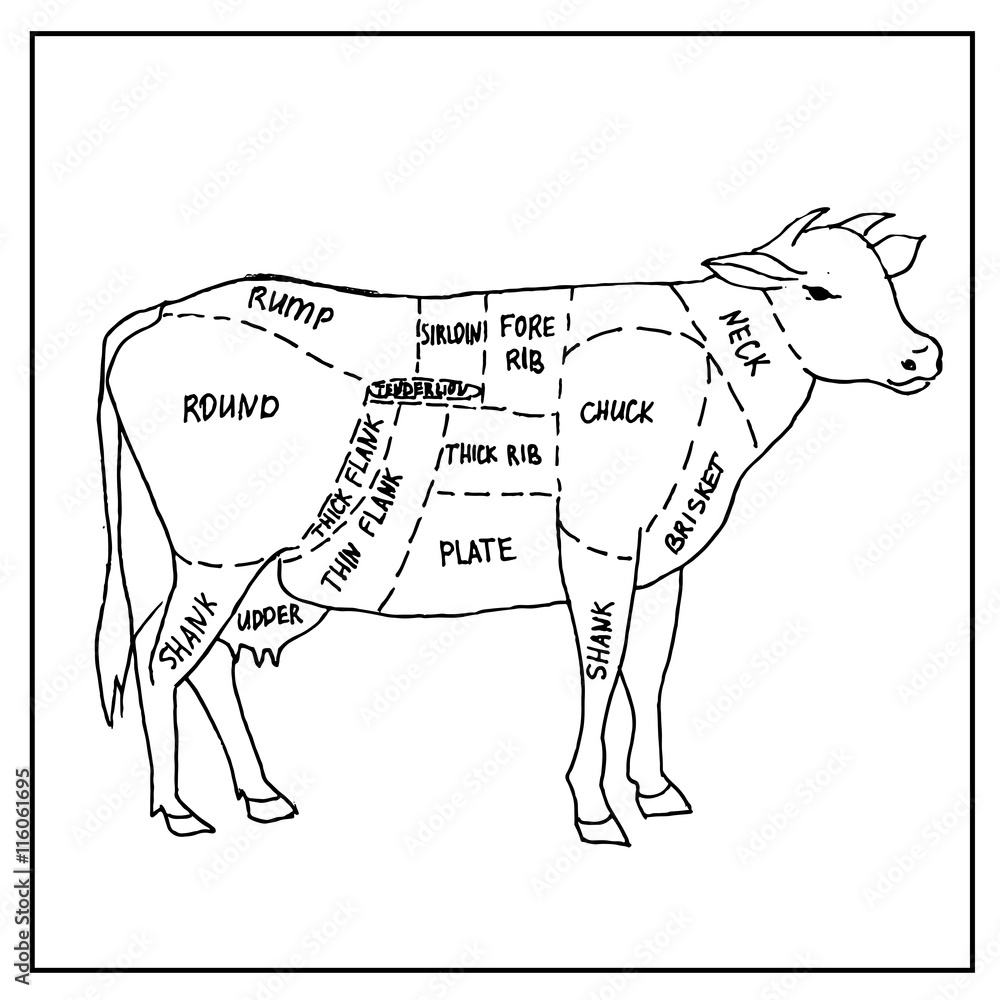 Meat menu. Set of symbols, beef, pork, chicken, lamb. Vector ...