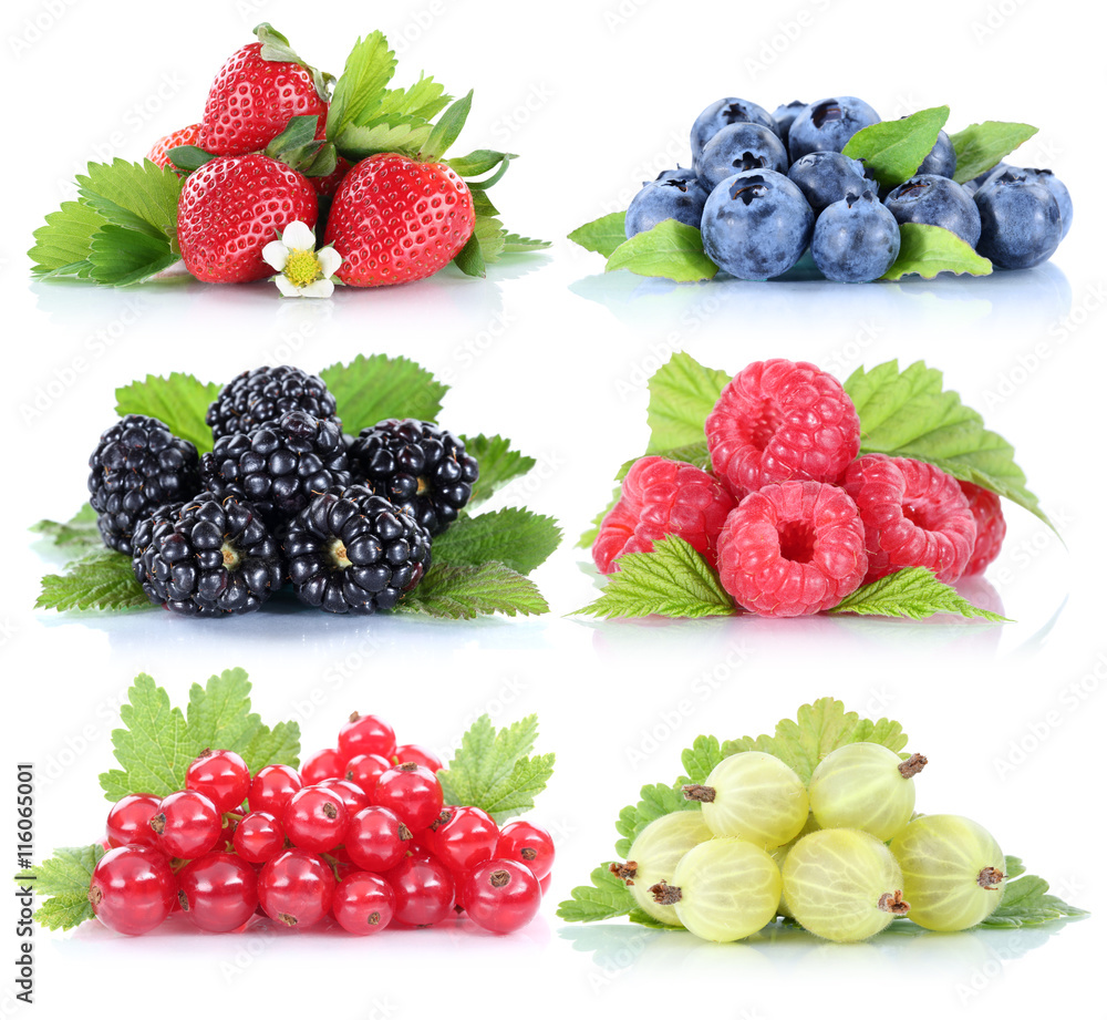 Beeren Erdbeeren Sammlung Blaubeeren Himbeeren Johannisbeeren Fr Stock ...