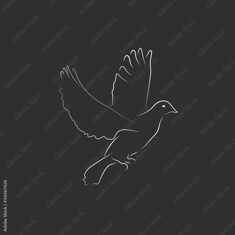 colombe,symbole Stock Vector | Adobe Stock
