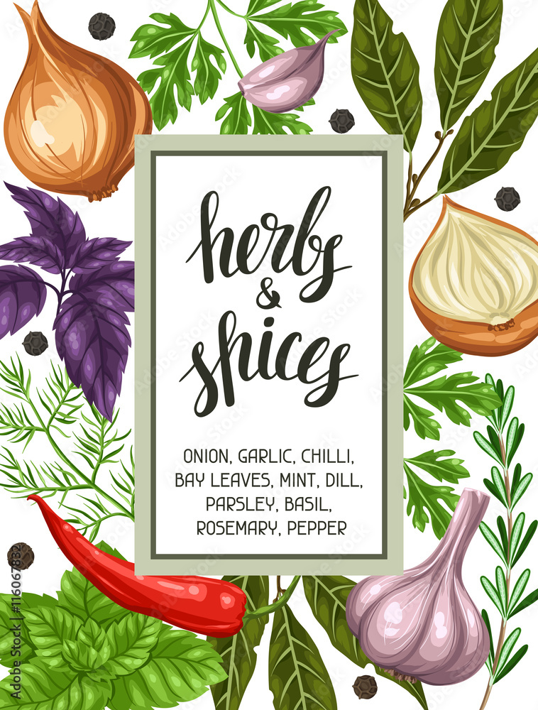 Frame design with various herbs and spices Stock Vector | Adobe Stock