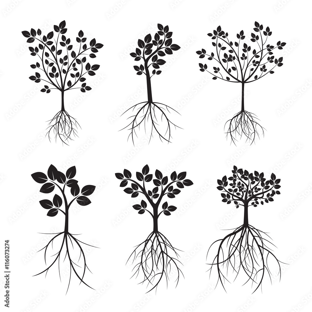 Set Black Trees and Roots. Vector Illustration. Stock Vector | Adobe Stock