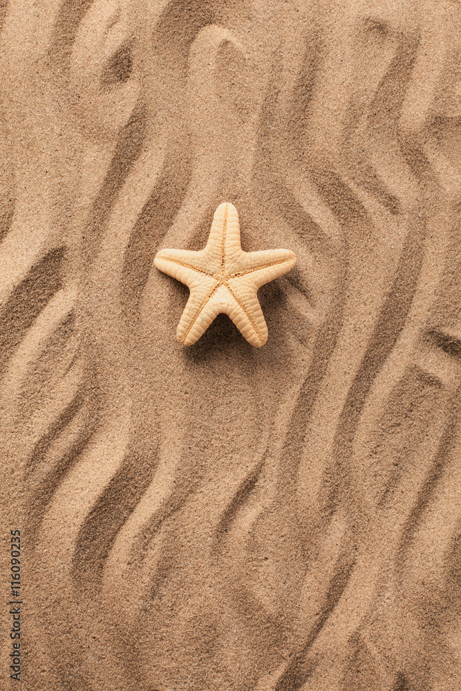 Starfish and shells with sand as background. Sand texture Stock Photo ...
