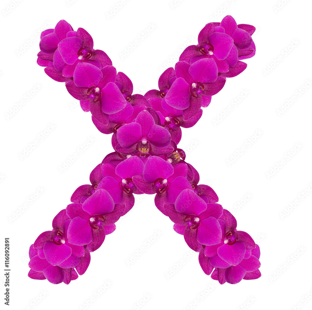 Letters made of pink flowers. X letter - flower alphabet Stock Photo ...
