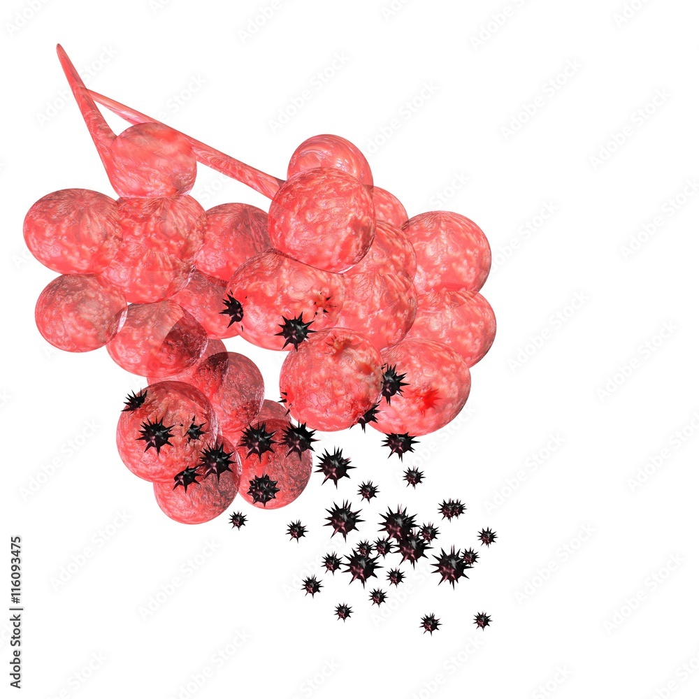 Ingress of particulate matter into the lungs 3D rendering Stock ...