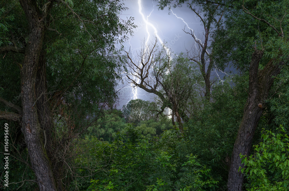 Thunder, lightnings and rain during storm over forest Stock Photo ...