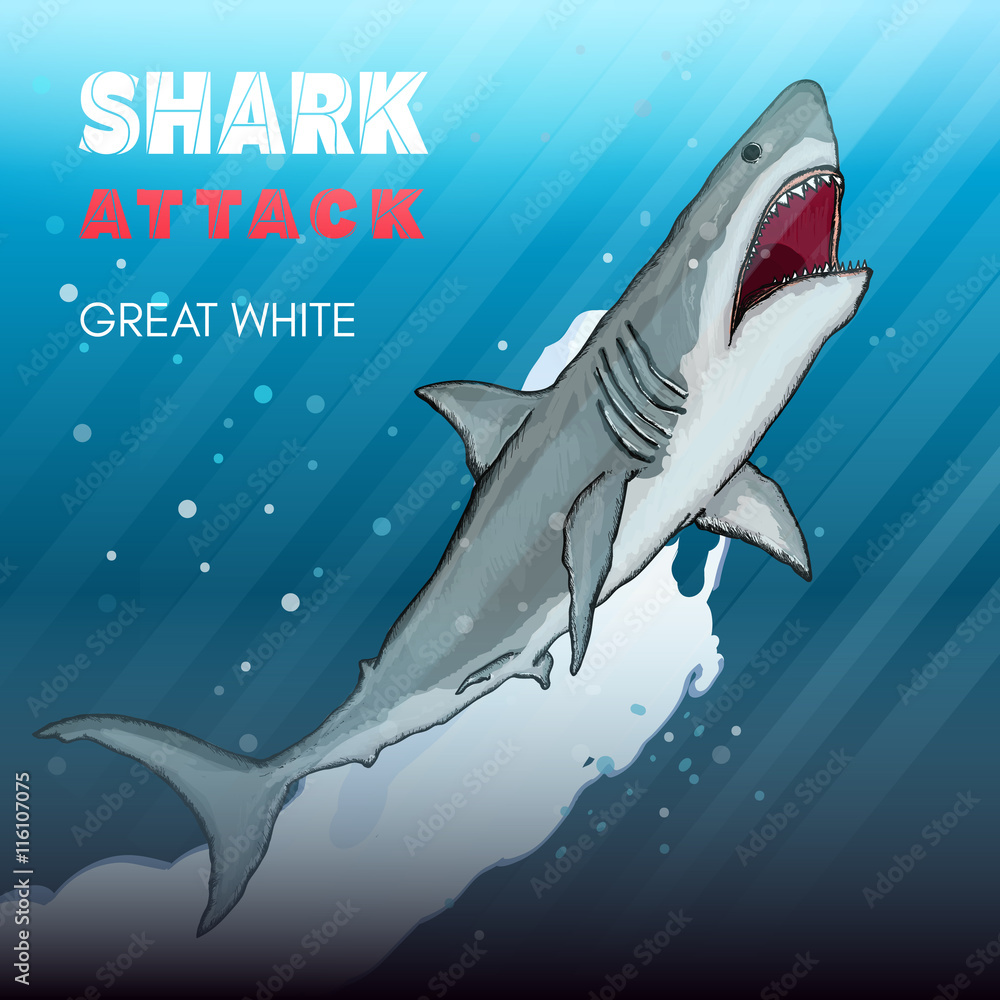 Shark attack great white shark underwater attack Stock Vector | Adobe Stock