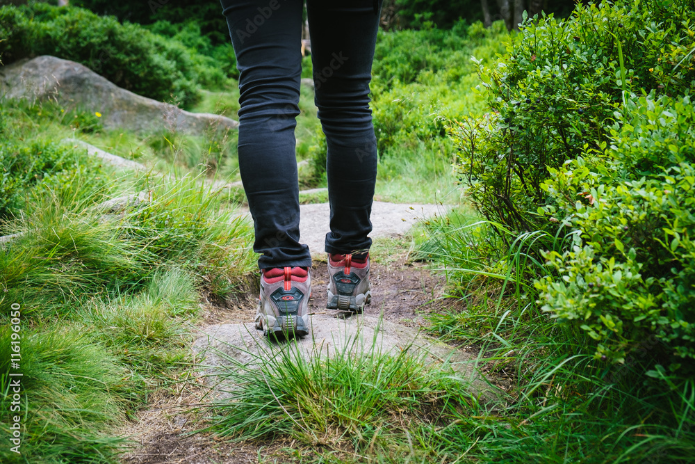 Wanderer mit Wanderschuhen durch den Wald Stock-Foto | Adobe Stock