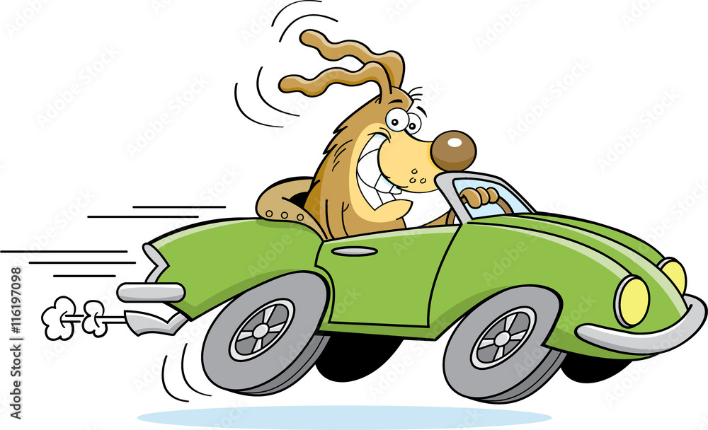Cartoon illustration of a dog driving a car. Stock Vector | Adobe Stock