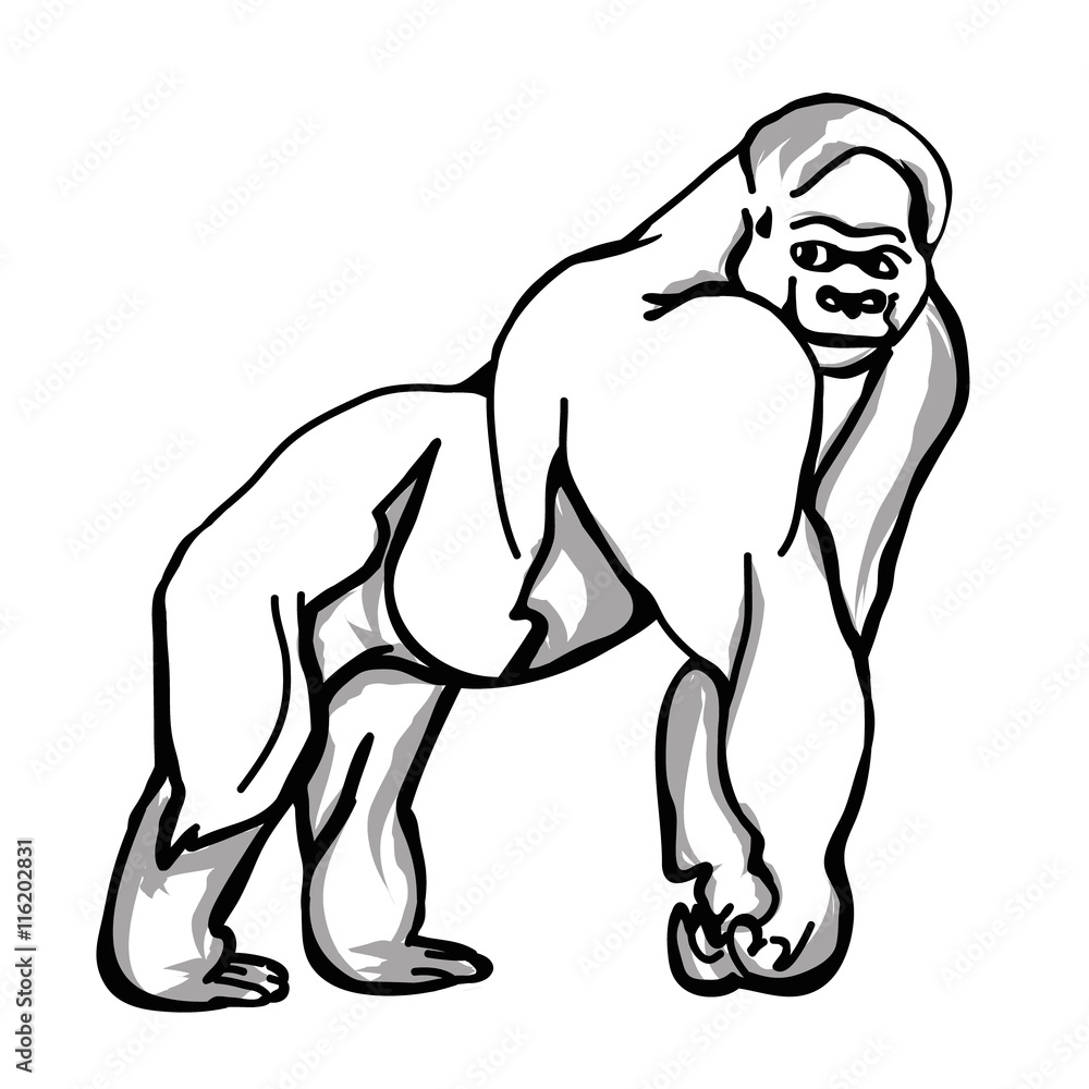 Gorilla Outline