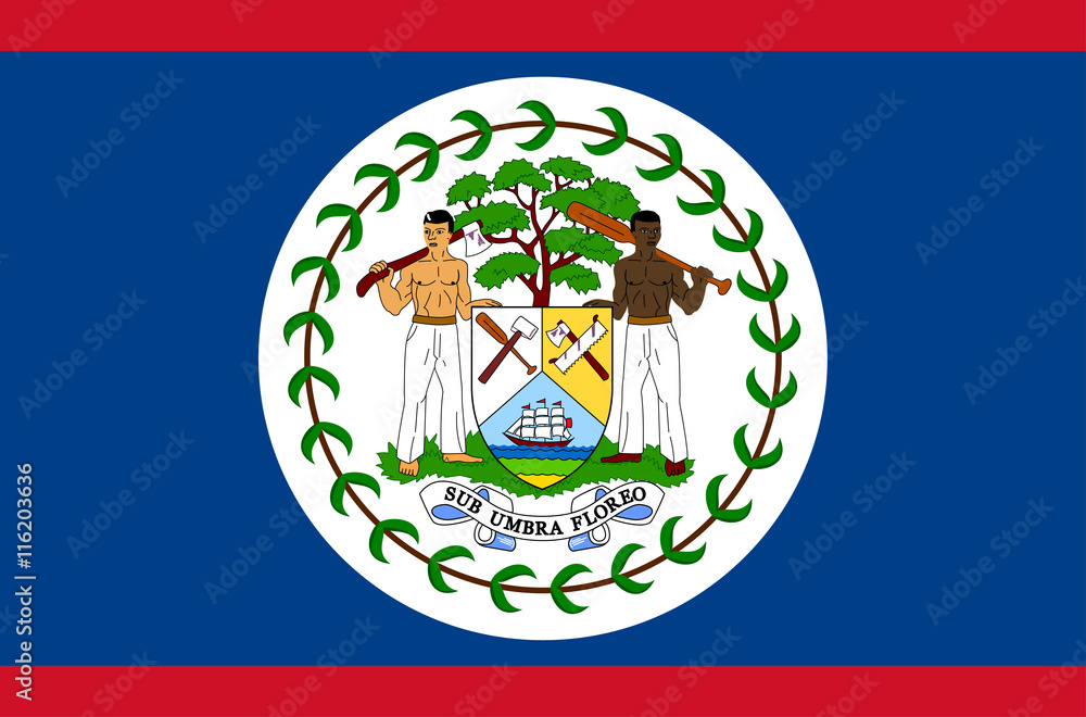 Vector flat style Belize state flag. Official design of Belize flag ...