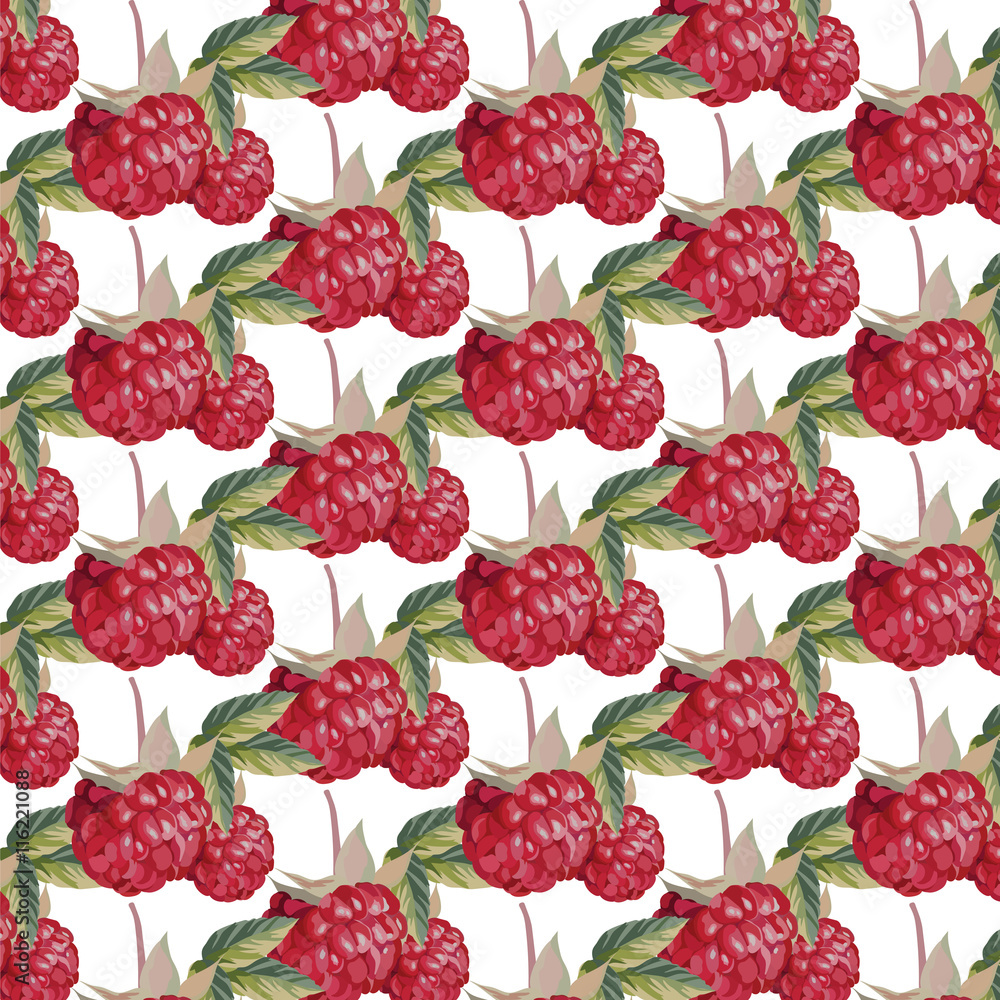 Fresh Raspberry Vector pattern background. Raspberry watercolor ...