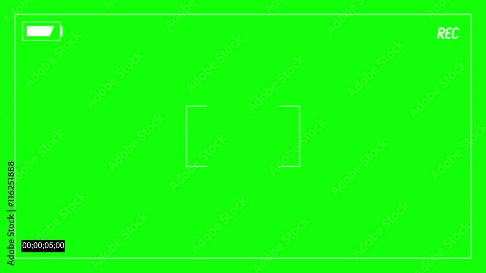 Digital camera viewfinder with static noise and green screen for chroma ...