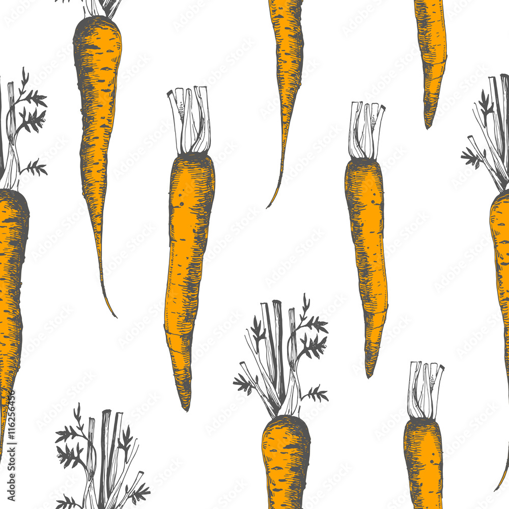 Hand-drawn sketch of carrot. Seamless nature background. Stock Vector ...
