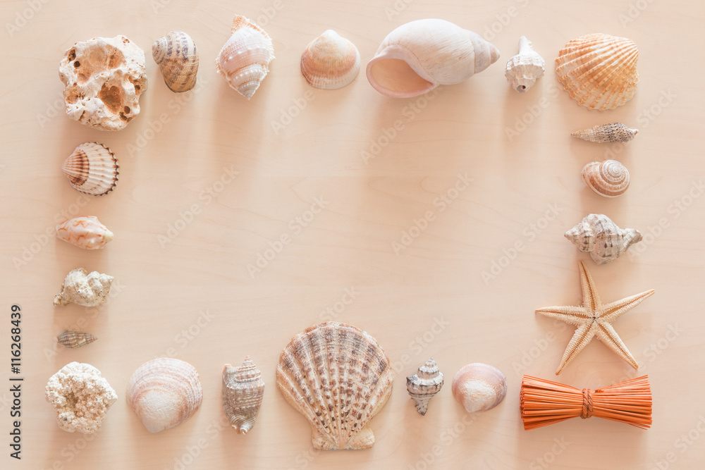Sea shells frame on wooden background Stock Photo | Adobe Stock