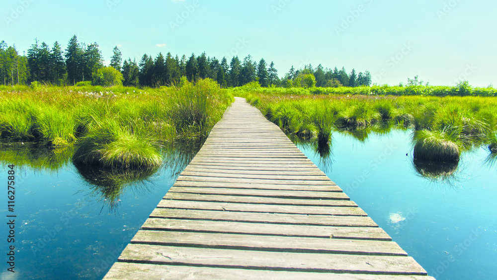 Steg im Wasser im Hohen Venn Stock Photo | Adobe Stock