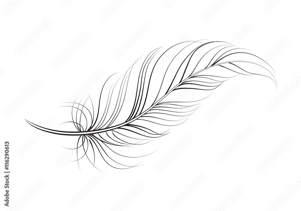 clip art feather, vector Stock Vector | Adobe Stock