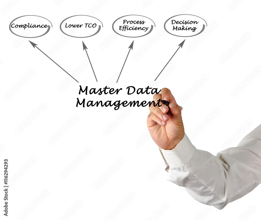 Diagram of Master Data Management Stock Photo | Adobe Stock