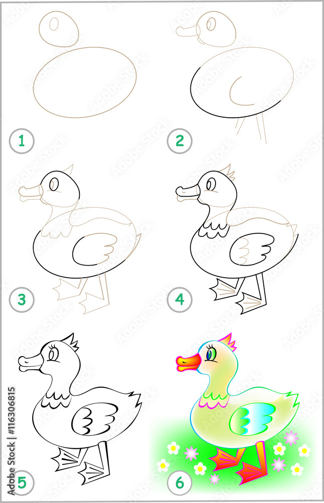 Page shows how to learn step by step to draw little duck. Developing ...