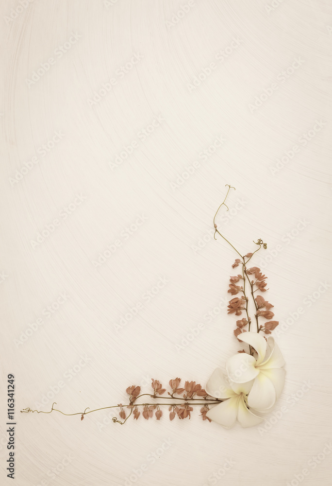 Vintage style flower border on white texture background Stock Photo ...