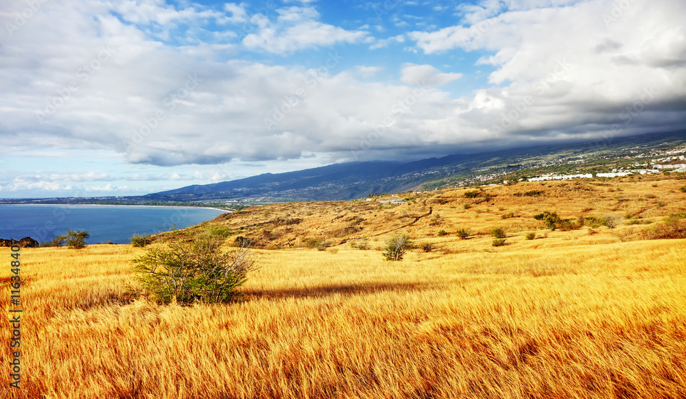 Savane Stock Photo | Adobe Stock