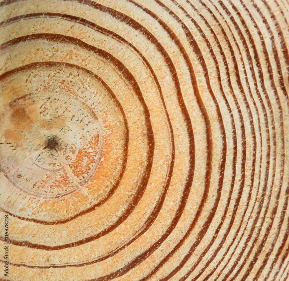 Abstract Wood trim texture background Stock Photo | Adobe Stock