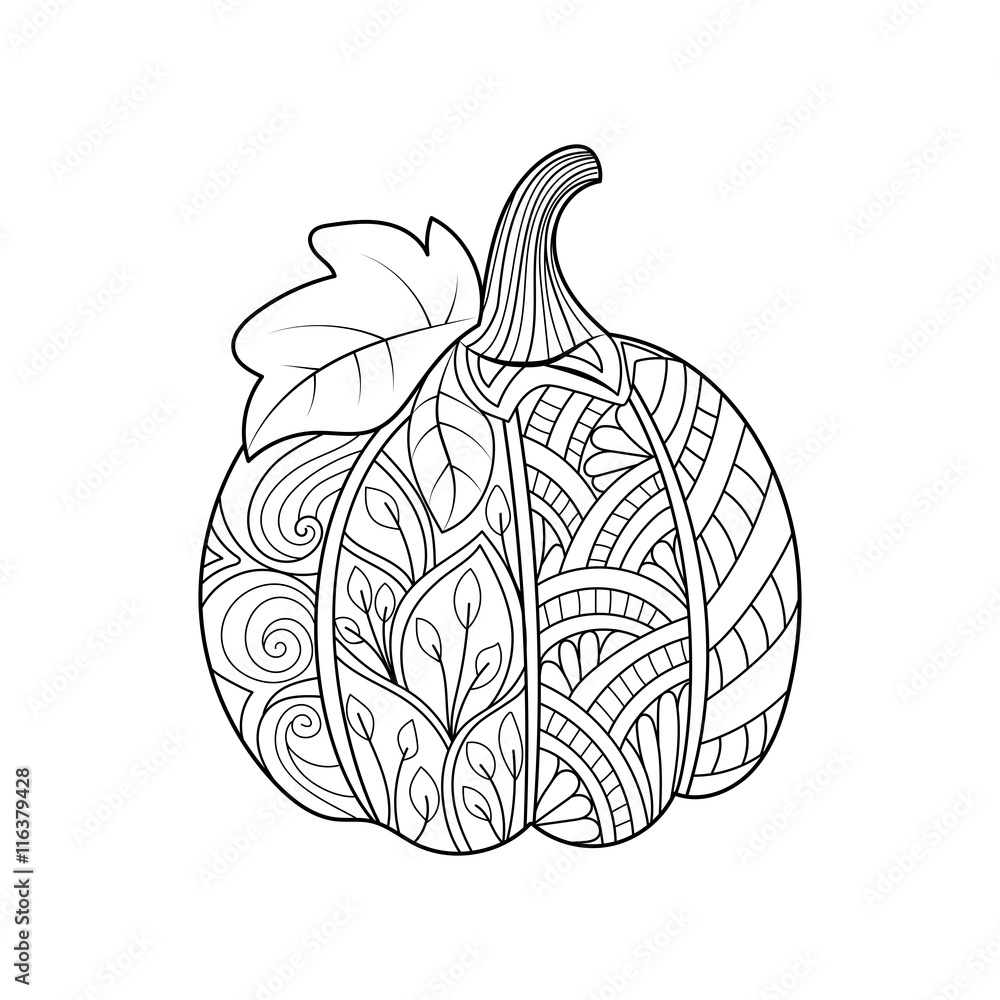 Hand drawn pumpkin. for Thanksgiving day, Halloween.Hand drawn sketch ...