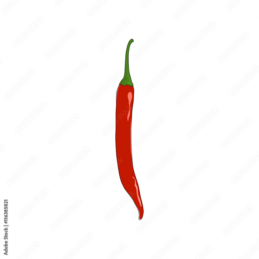 Red Hot Chili Pepper Standing Isolated on White Background, Vegetables ...