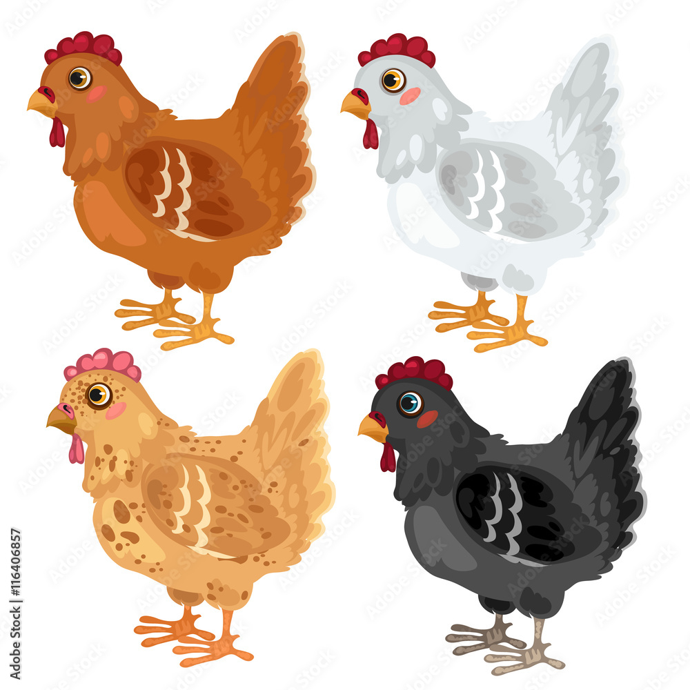Cartoon chicken different colors, vector animals Stock Vector | Adobe Stock