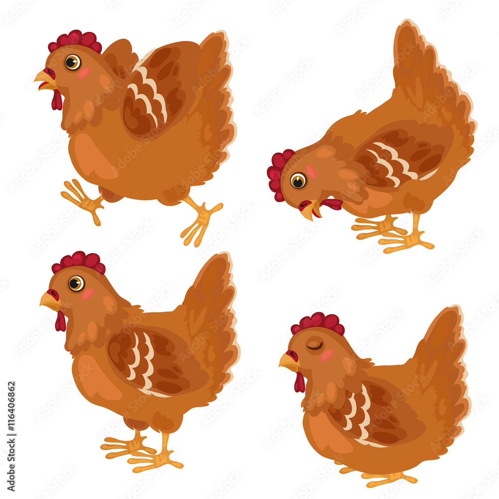 Cartoon chicken in four poses, vector animals Stock Vector | Adobe Stock