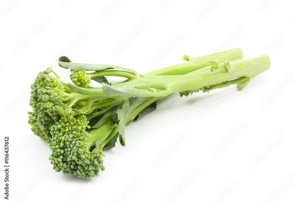 broccolini baby broccoli isolated Stock Photo | Adobe Stock