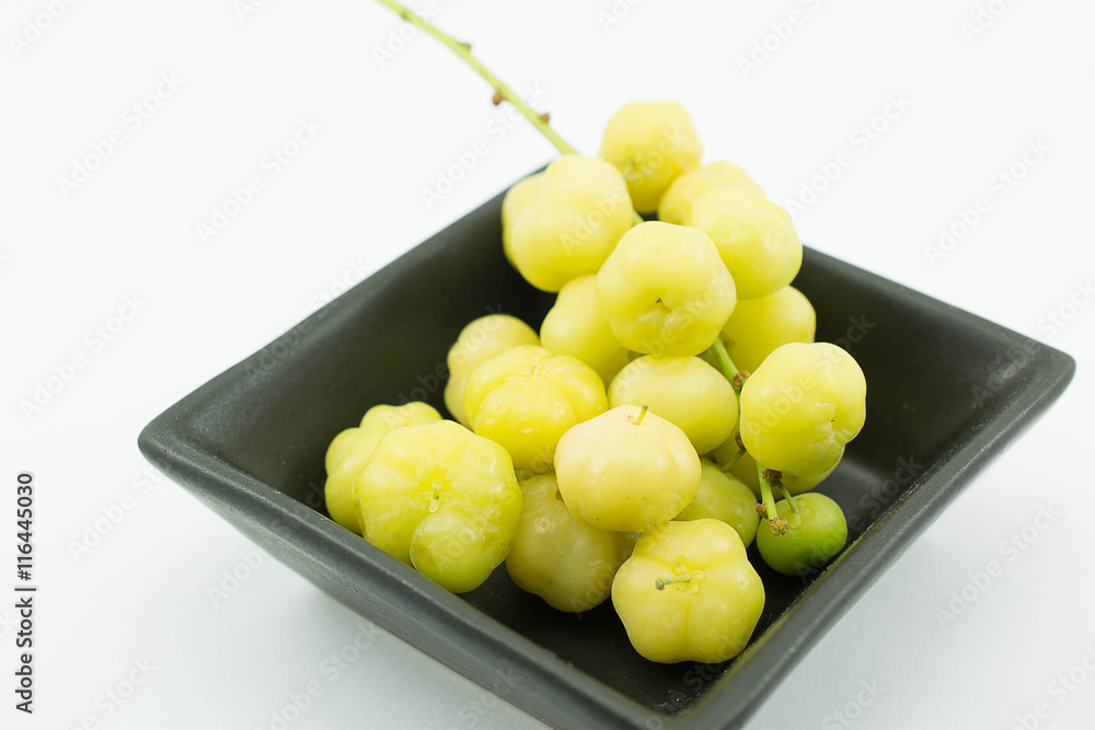 Phyllanthus acidus in Cup, Phyllanthus acidus, known as the Otaheite ...