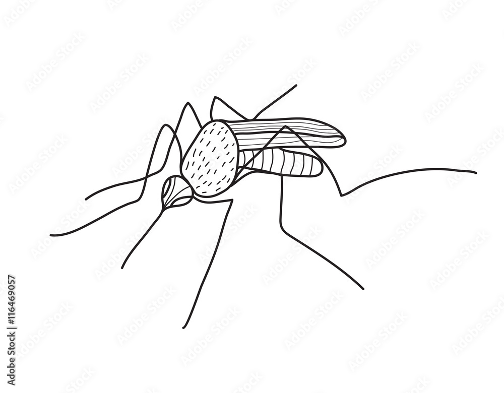 Mosquito Drawing