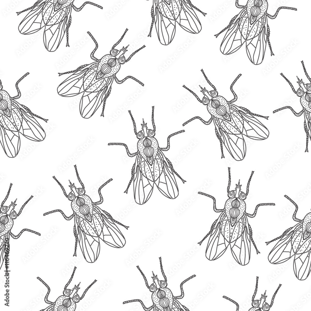 Fly insect seamless texture. Fly wallpaper, background. Doodle, sketch ...