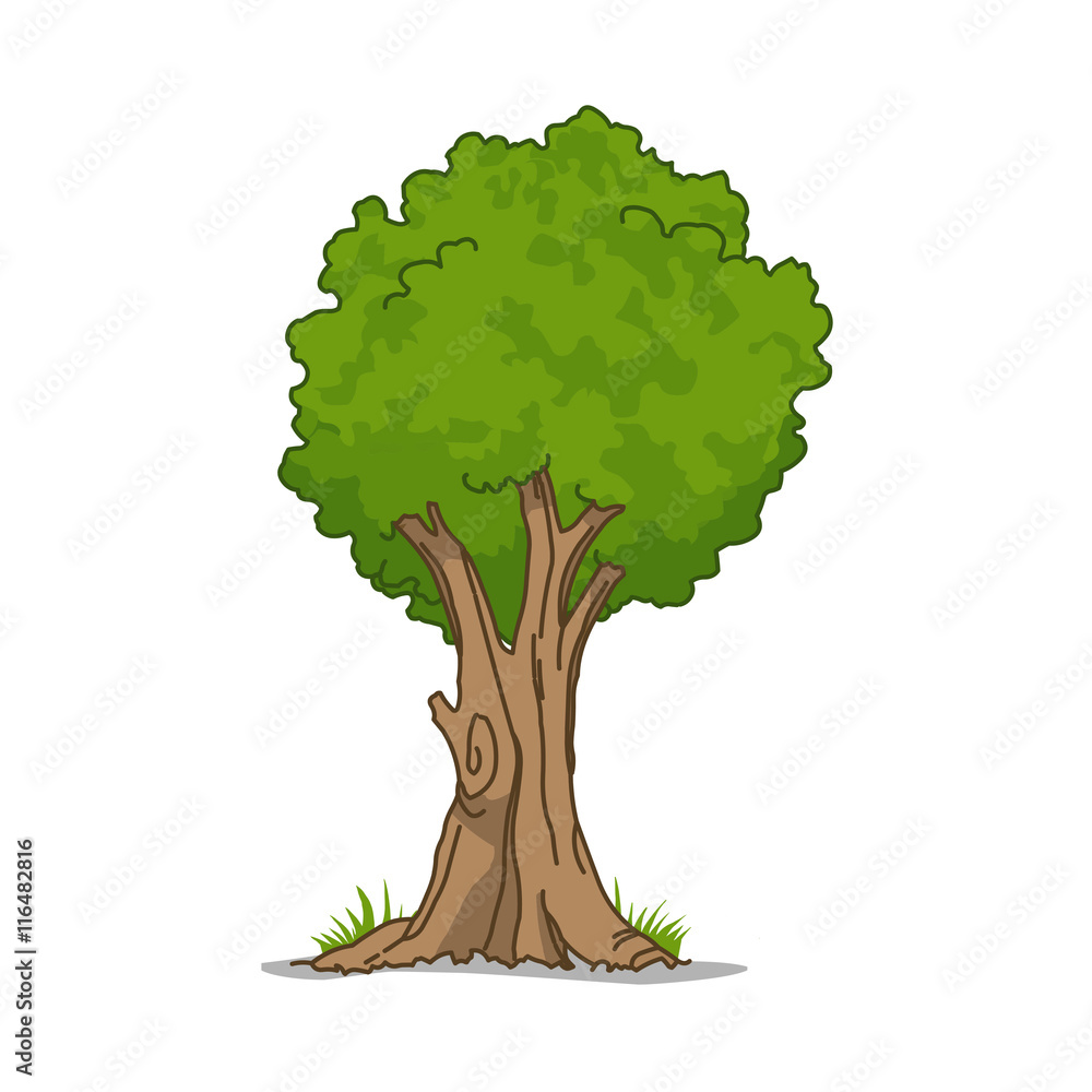 Animated Banyan Tree Images