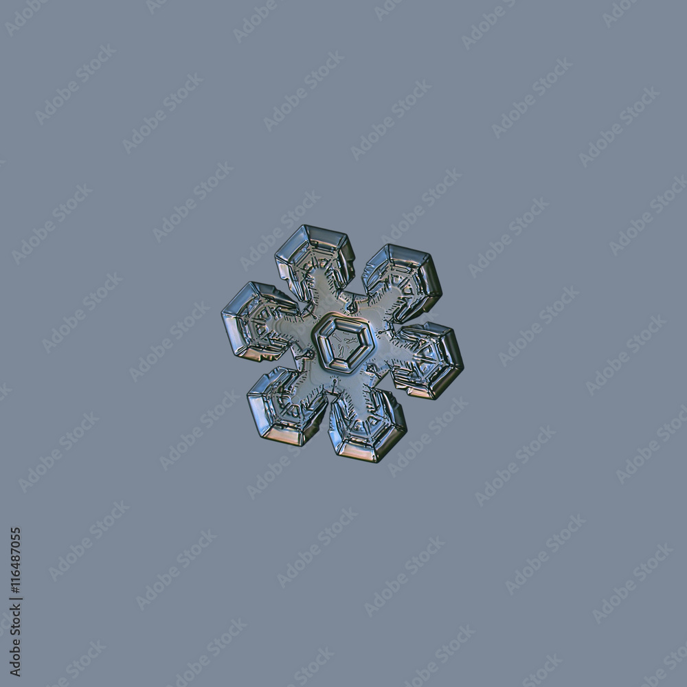 Snowflake isolated on uniform grey background. This is macro photo of ...