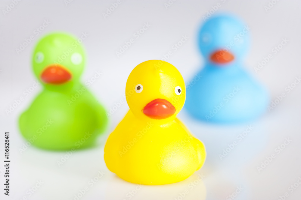 Rubber ducks on a white background Stock Photo | Adobe Stock