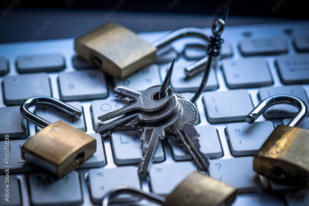 Phishing attack computer system Stock Photo | Adobe Stock