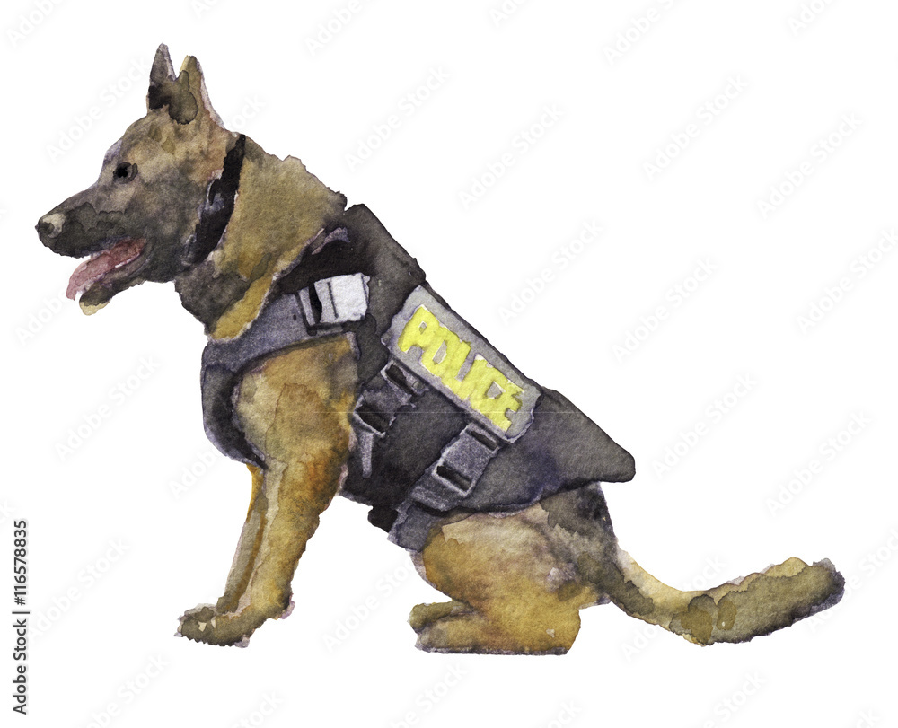 watercolor sketch of police dog on white background Stock Illustration ...