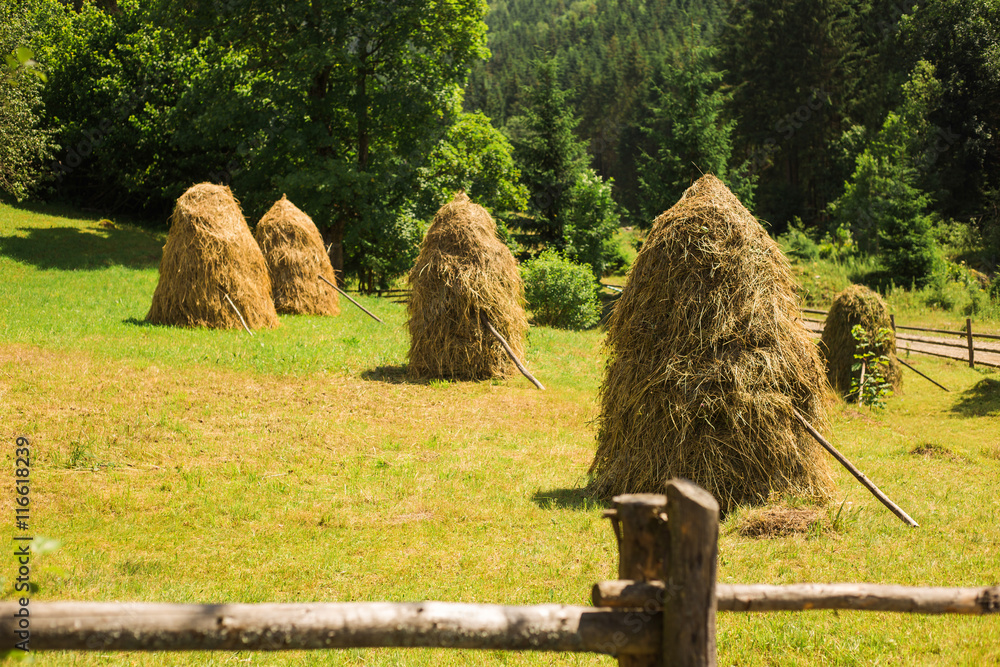 Beautiful Country Farm Land