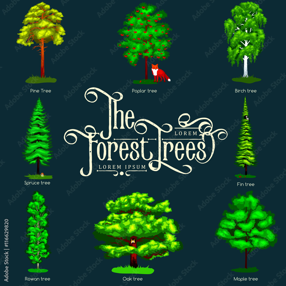Summer Green Forest Tree isolated on dark background. Cartoon vector ...