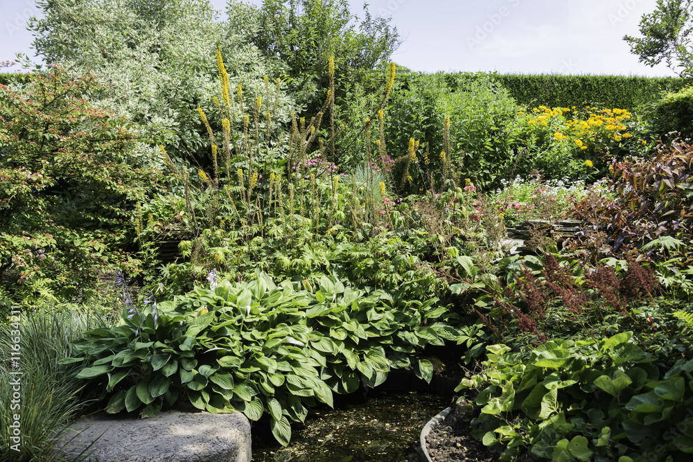 english garden with wild flowers Stock Photo | Adobe Stock
