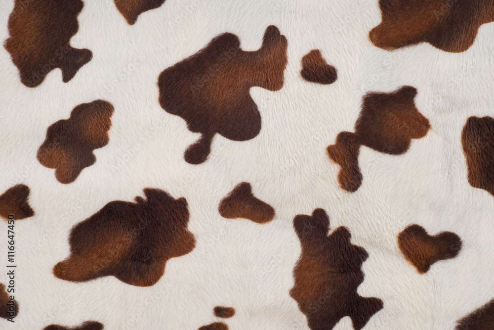 Cow skin texture Stock Photo | Adobe Stock