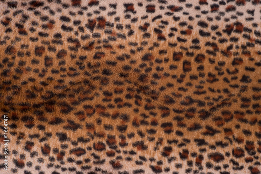 Leopard skin texture for background Stock Photo | Adobe Stock