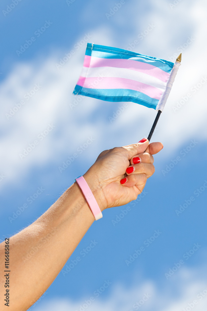 Hand holding up the Transgender Pride flag in the sky. Stock Photo ...